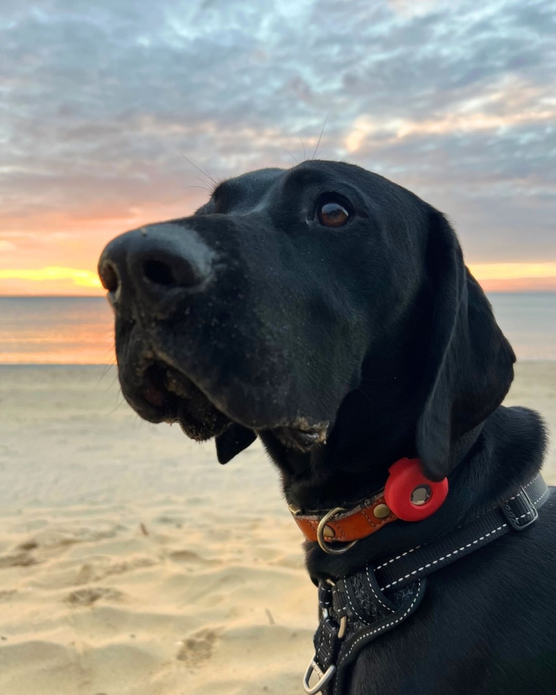 Our Story, Approach and Team - ArchIdea